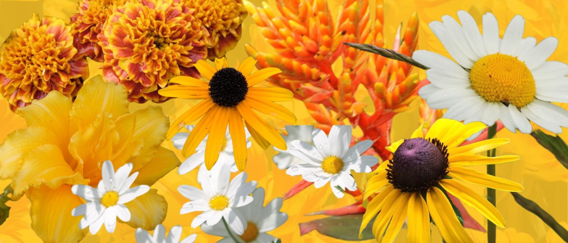 Meeting the Complexity of Grief – true.